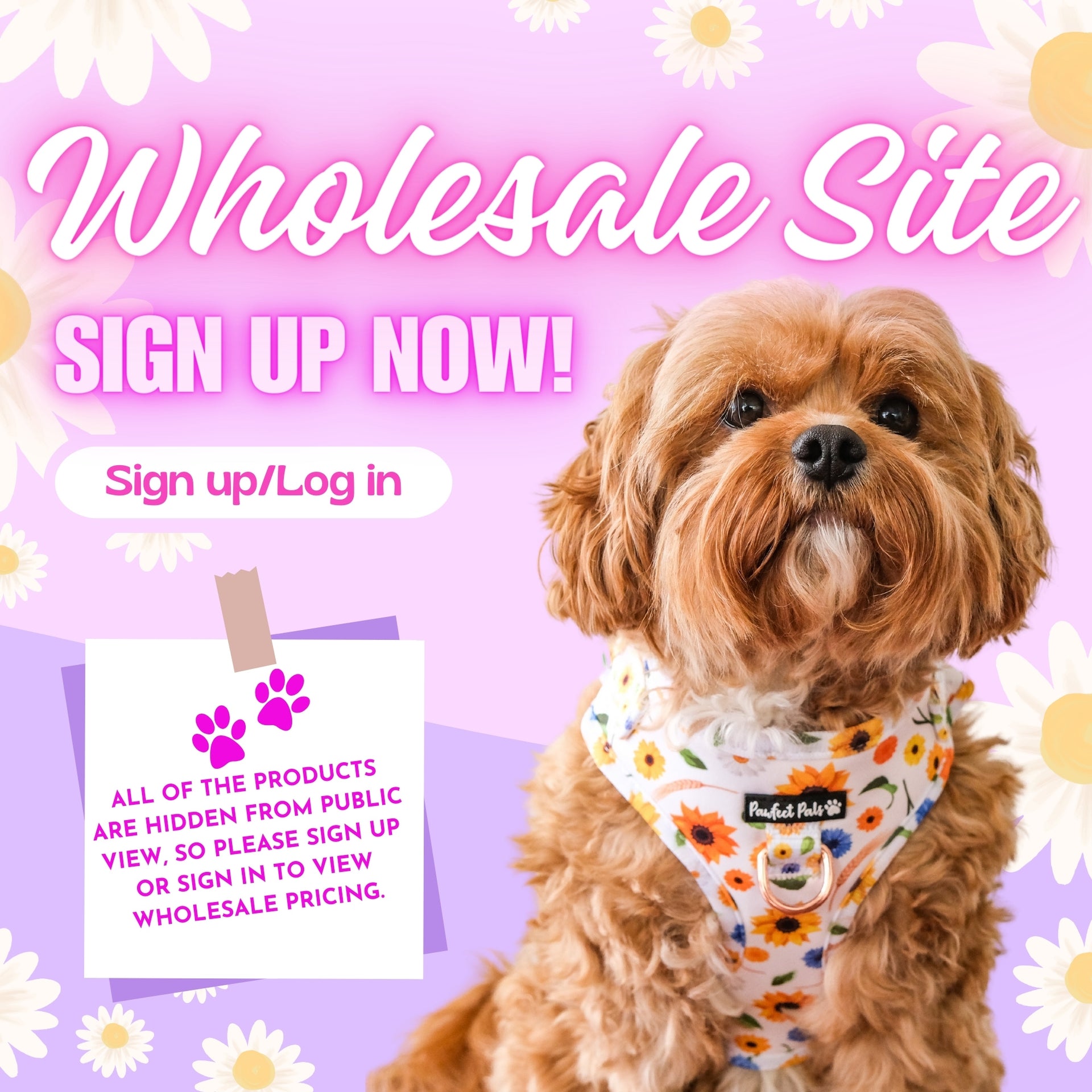 Wholesale Pawfect Pals